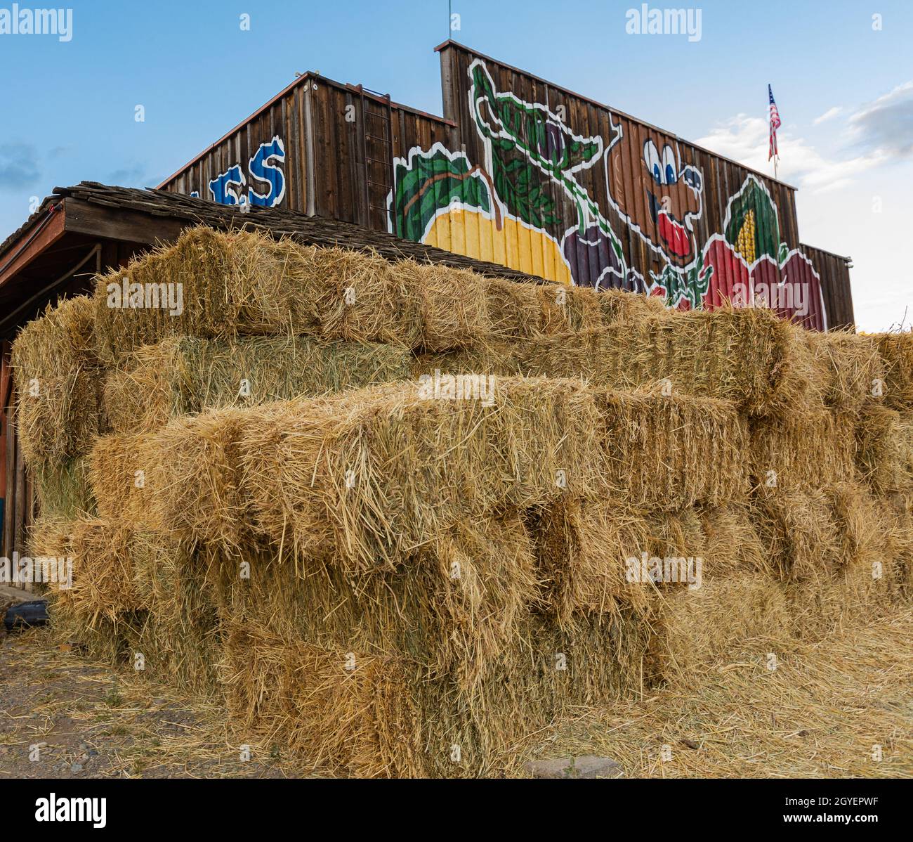 Hay pile at the countryside. Hay bale is placed in a rural market of a ...