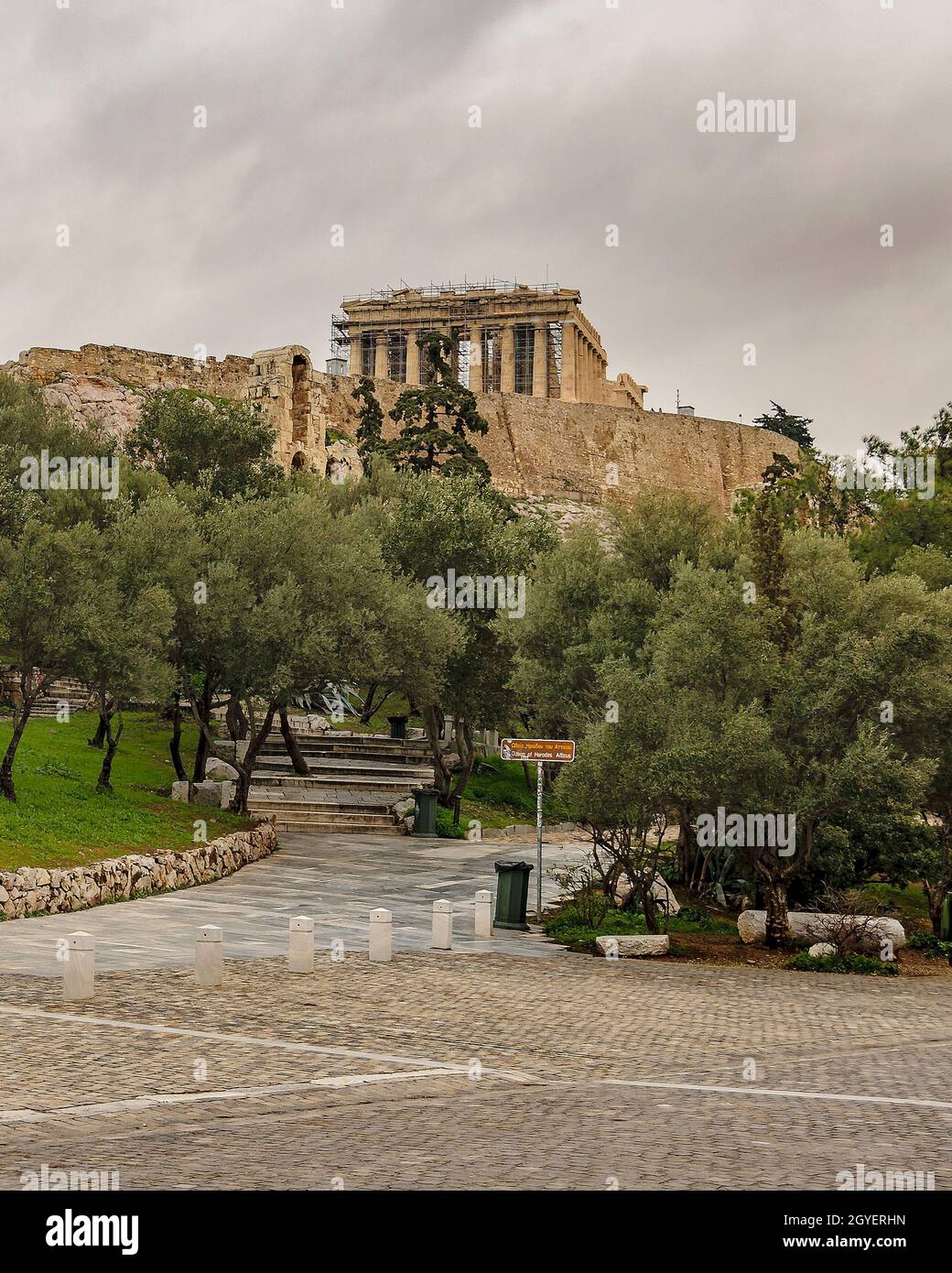 Peripatos hi-res stock photography and images - Alamy