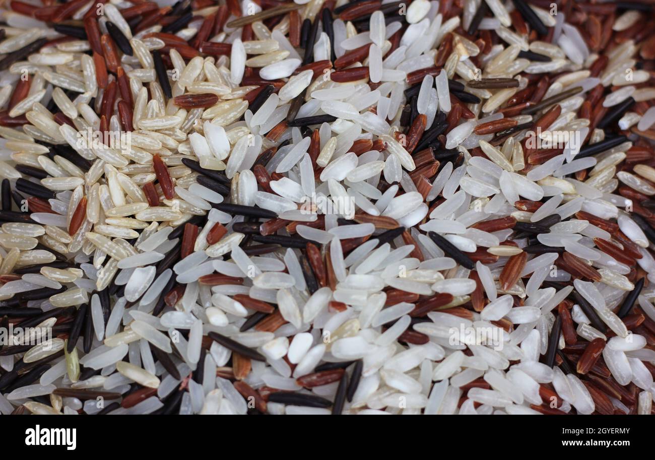 Jasmine Rice, Black Wild Rice, Brown Rice, Himalayan Red, Brown and ...