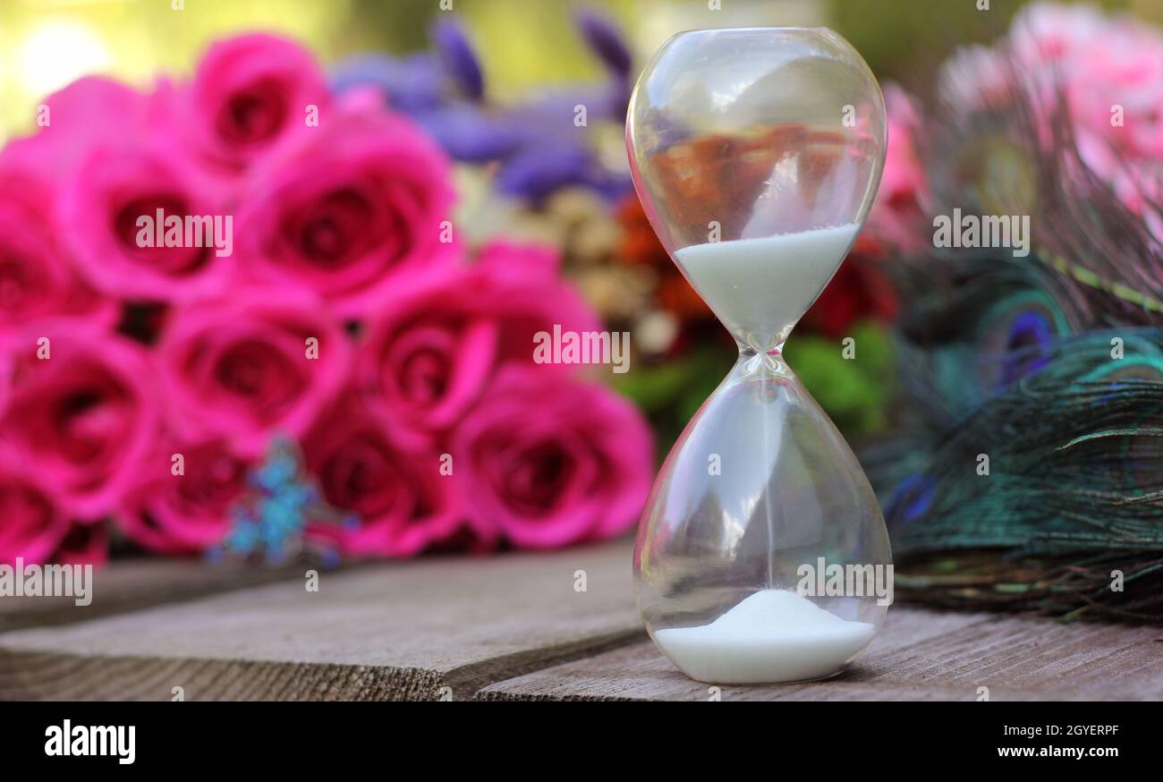 Vintage Hourglass With Pink Roses and Peacock Feathers Stock Photo - Alamy