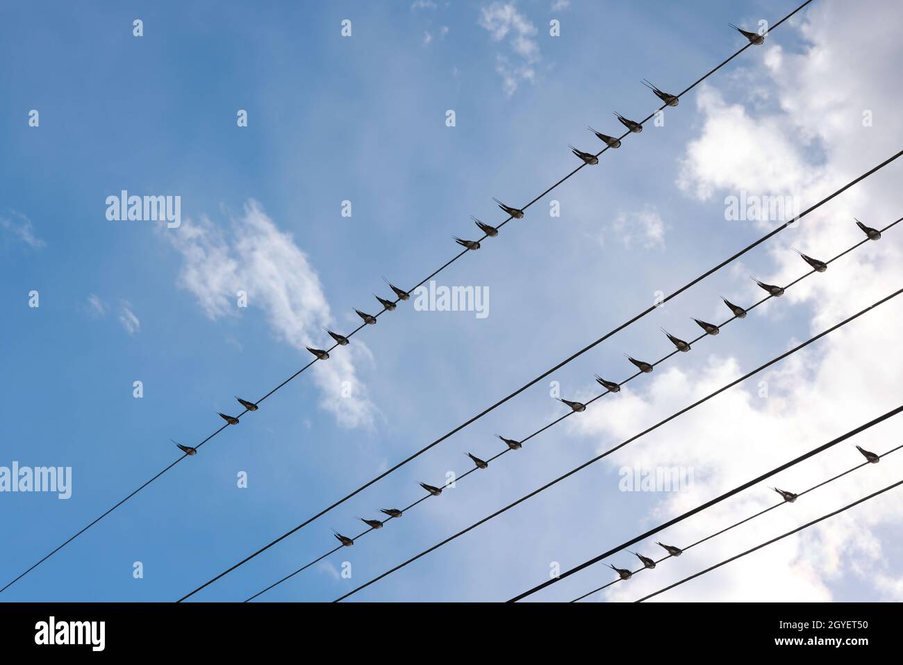 Diagonal wires hi-res stock photography and images - Alamy