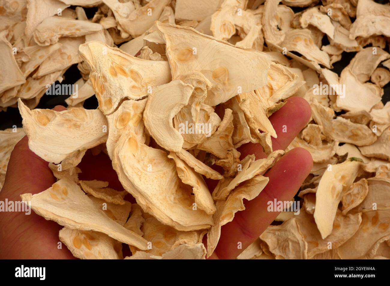 dried zucchini, dried zucchini, dried sliced zucchini Stock Photo - Alamy