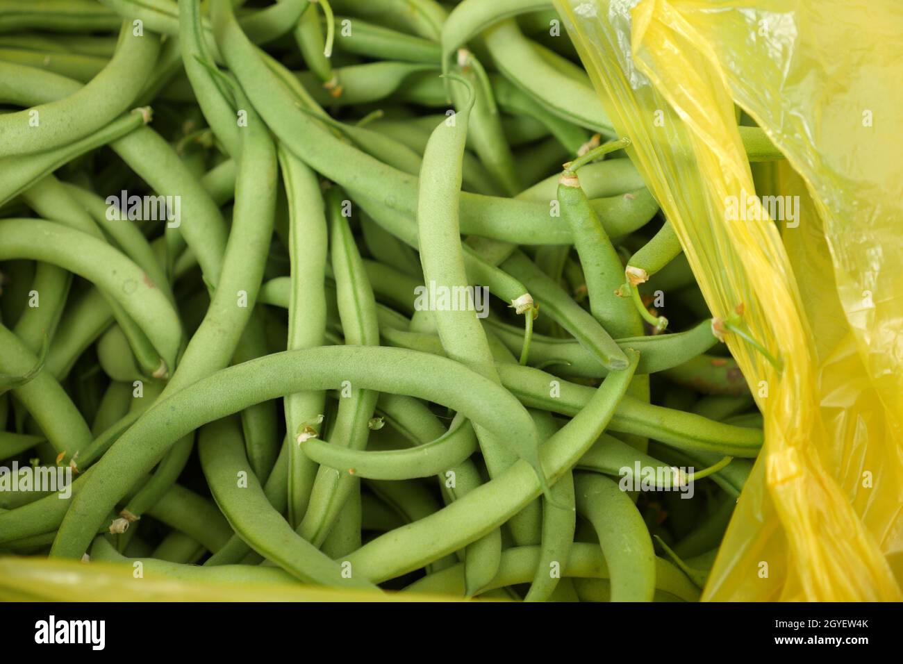 American atlantis beans hi-res stock photography and images - Alamy