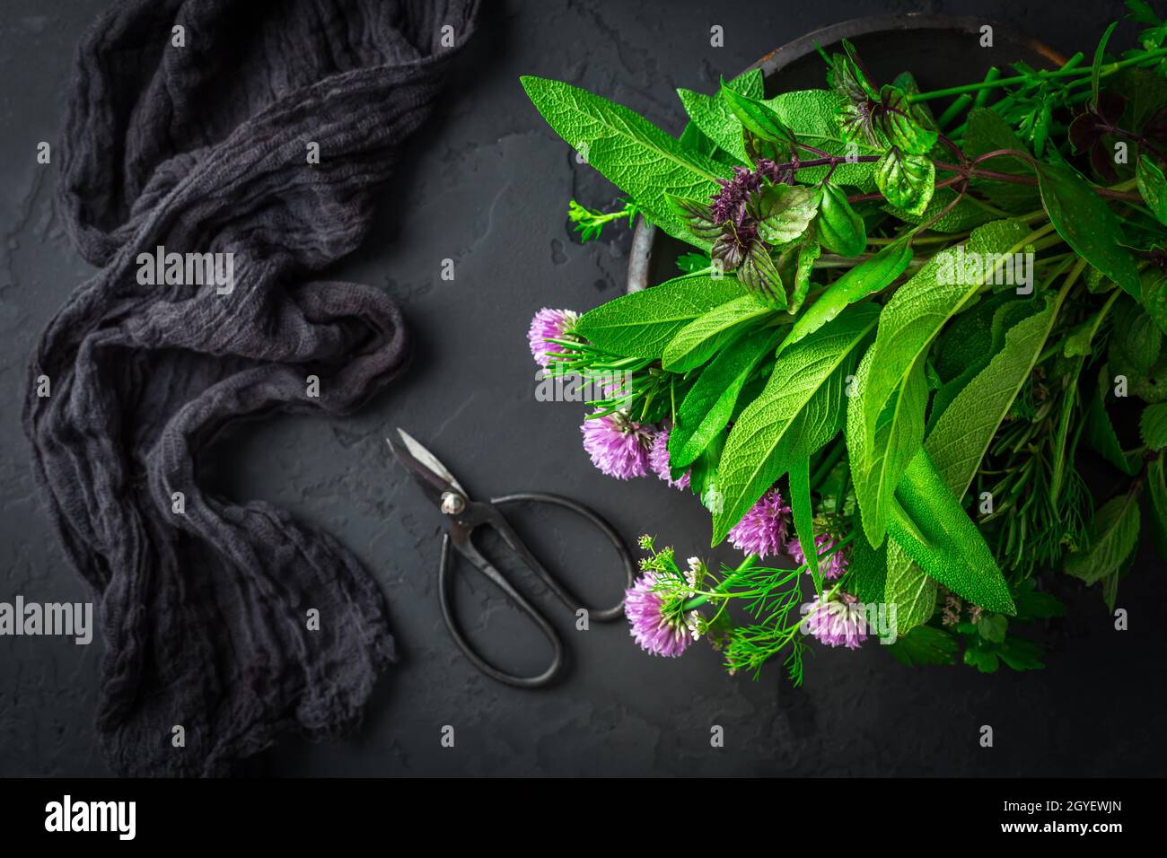 Fresh herbs with garden scissors on black kitchen table Stock Photo - Alamy