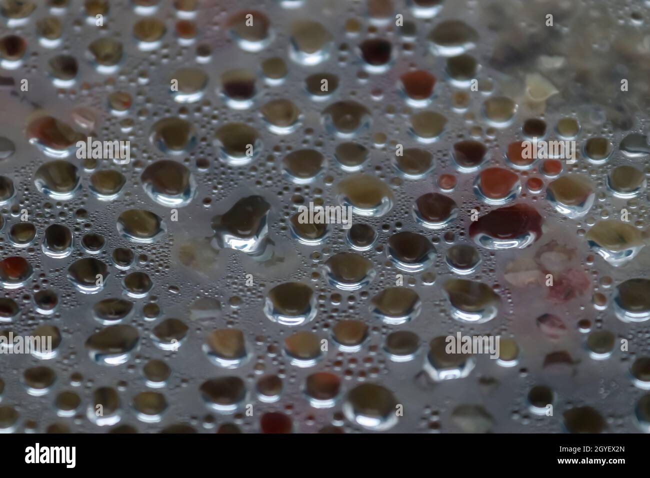 Hot water drops condensating at a glass pot cover during cooking Stock ...
