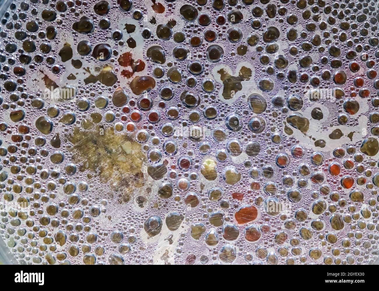 Hot water drops condensating at a glass pot cover during cooking Stock ...