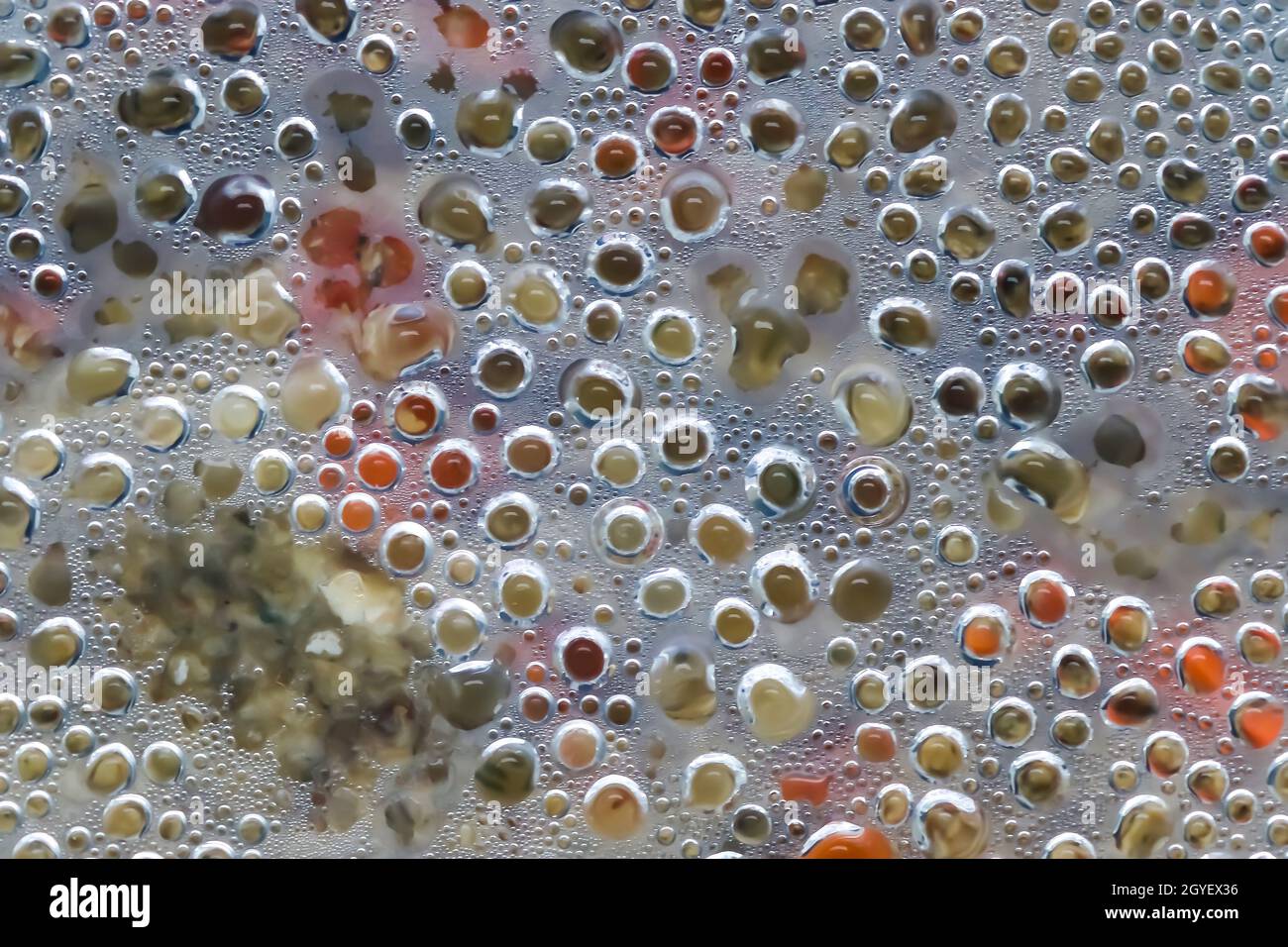 Hot water drops condensating at a glass pot cover during cooking Stock ...