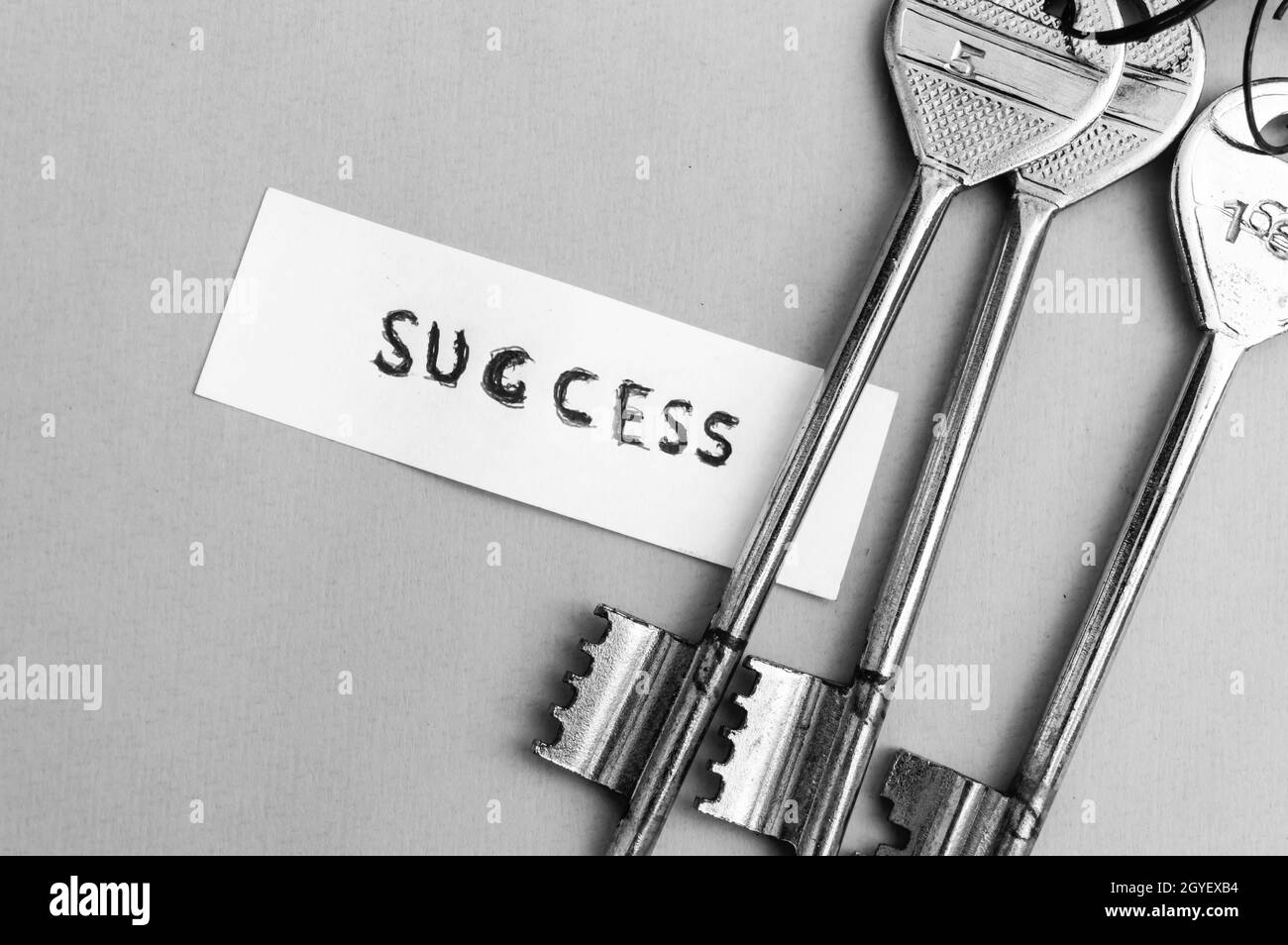 Key to success. Keys to Success in Business. A conceptual background ...