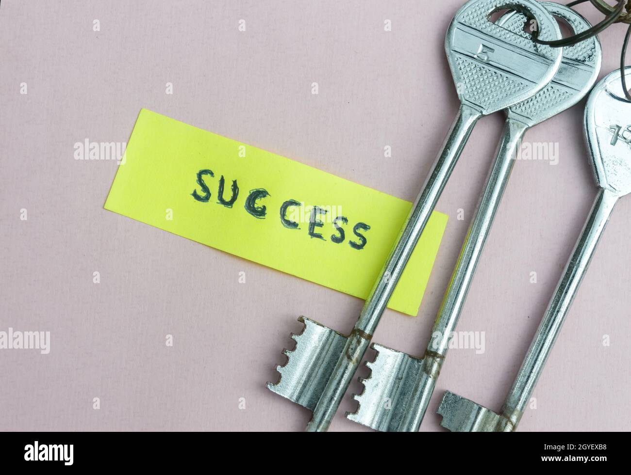 Key to success. Keys to Success in Business. A conceptual background ...