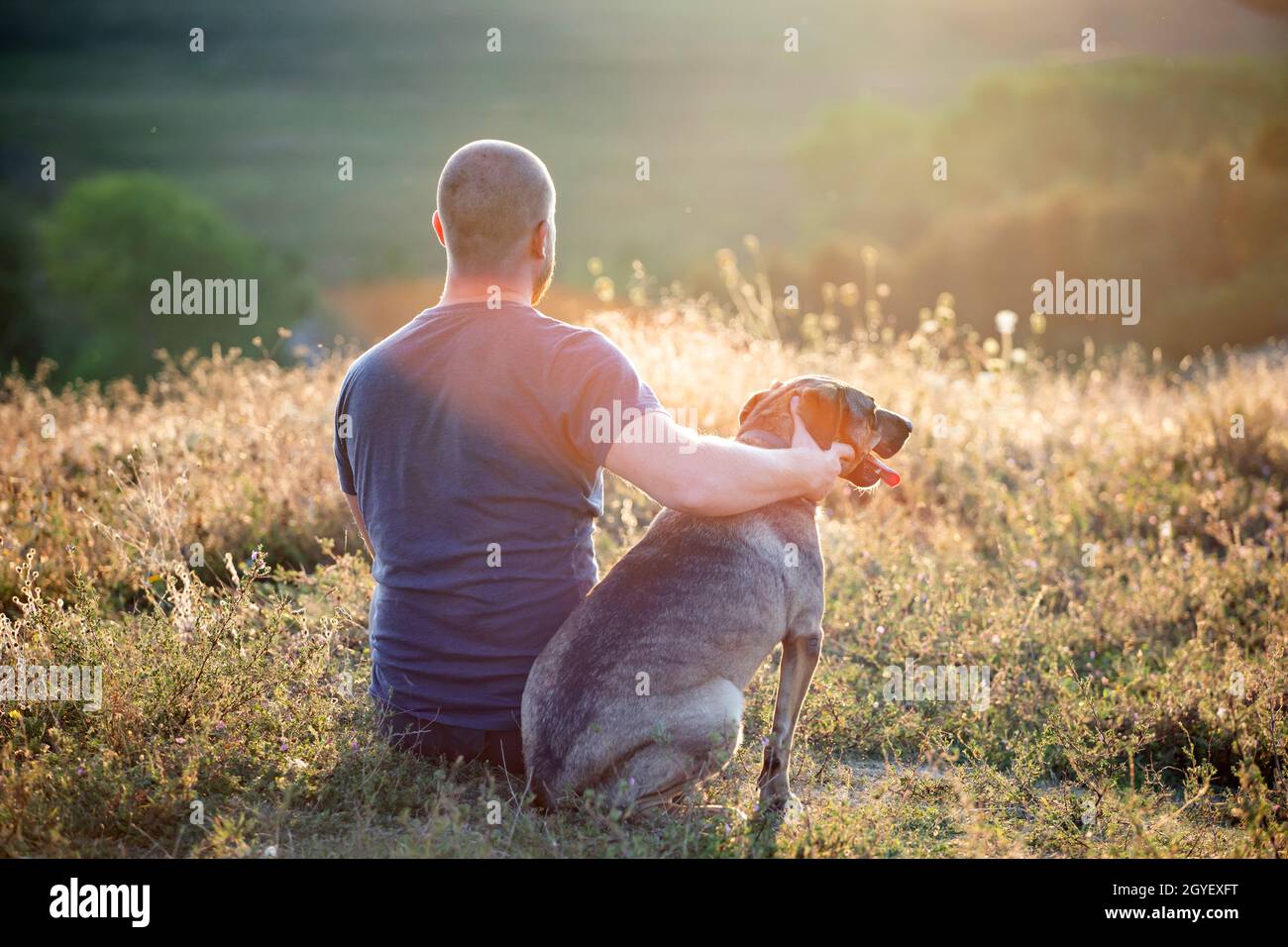 Man and his dog sitting in summer field enjoying amazing sunset Stock ...