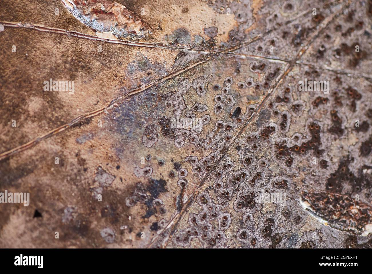 Burned and scratched hard drive data disk macro detail Stock Photo - Alamy