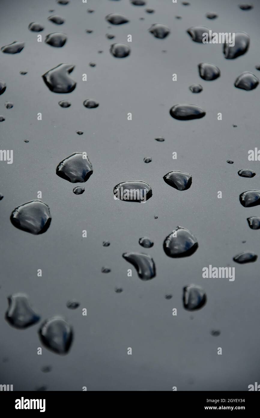 rain drops on a car engine hood Stock Photo - Alamy