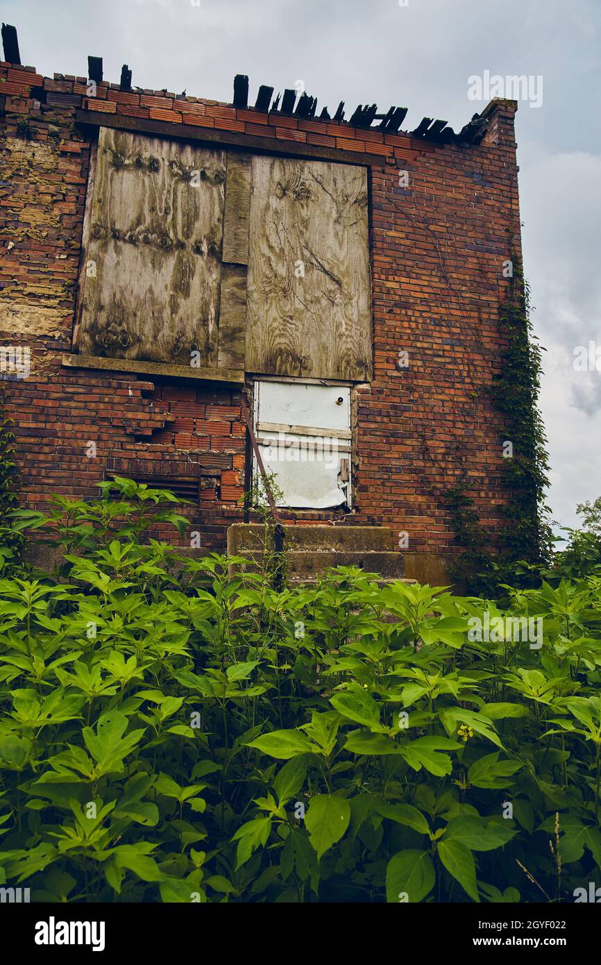 Abandoned orange brick building falling apart with vines and surrounded ...