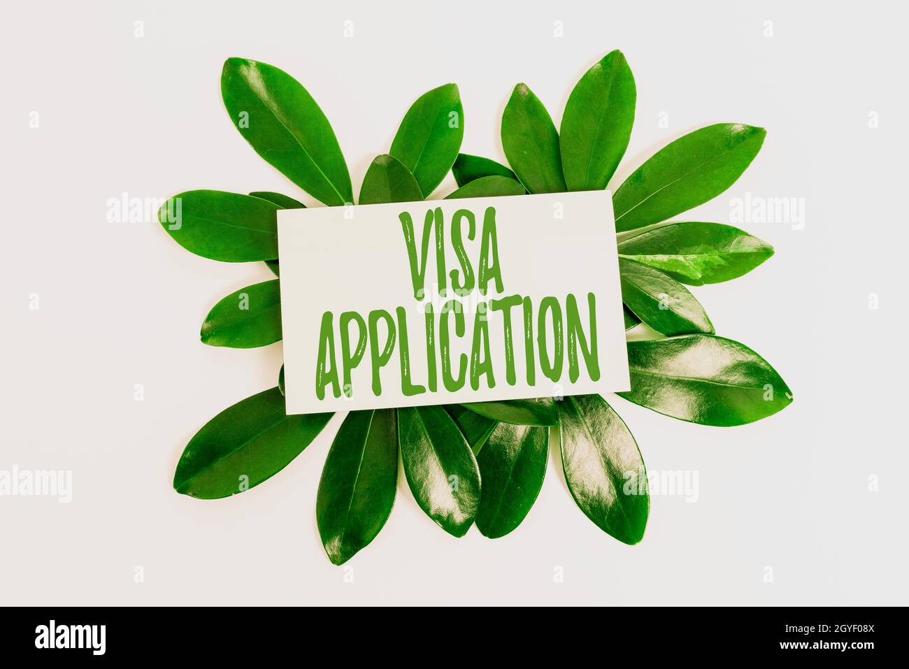Text sign showing Visa Application, Internet Concept an process of ...