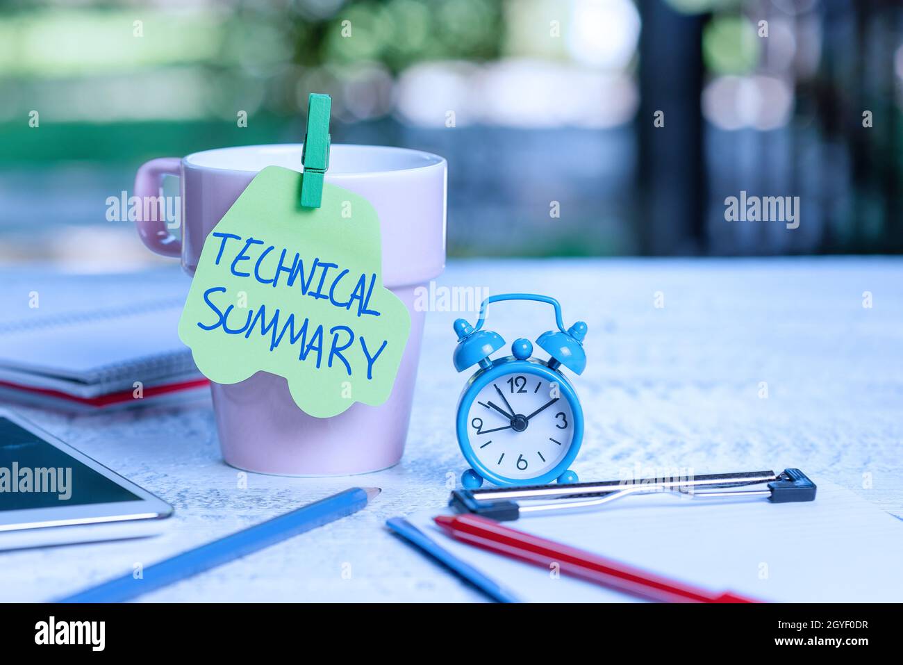 Text caption presenting Technical Summary, Word Written on includes ...