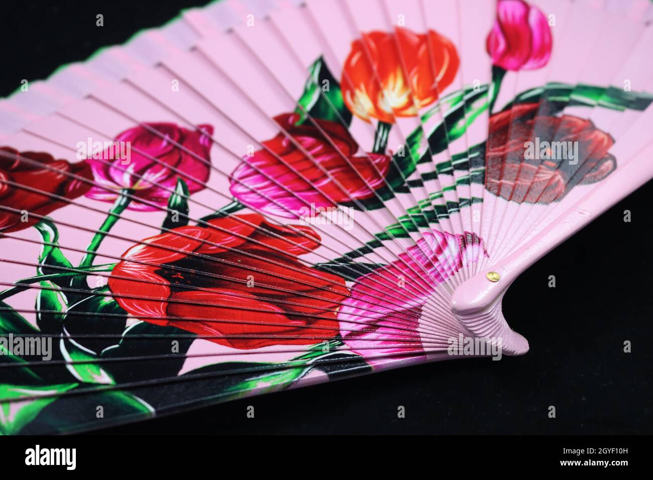 beautiful fan of colors flowers drawing aerator refreshing shake Stock ...