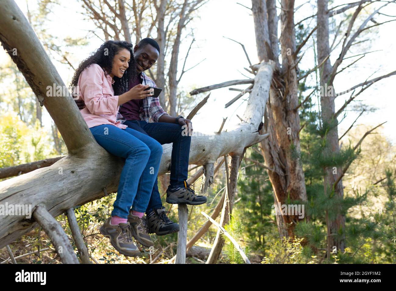 Couple on branch hi-res stock photography and images - Alamy