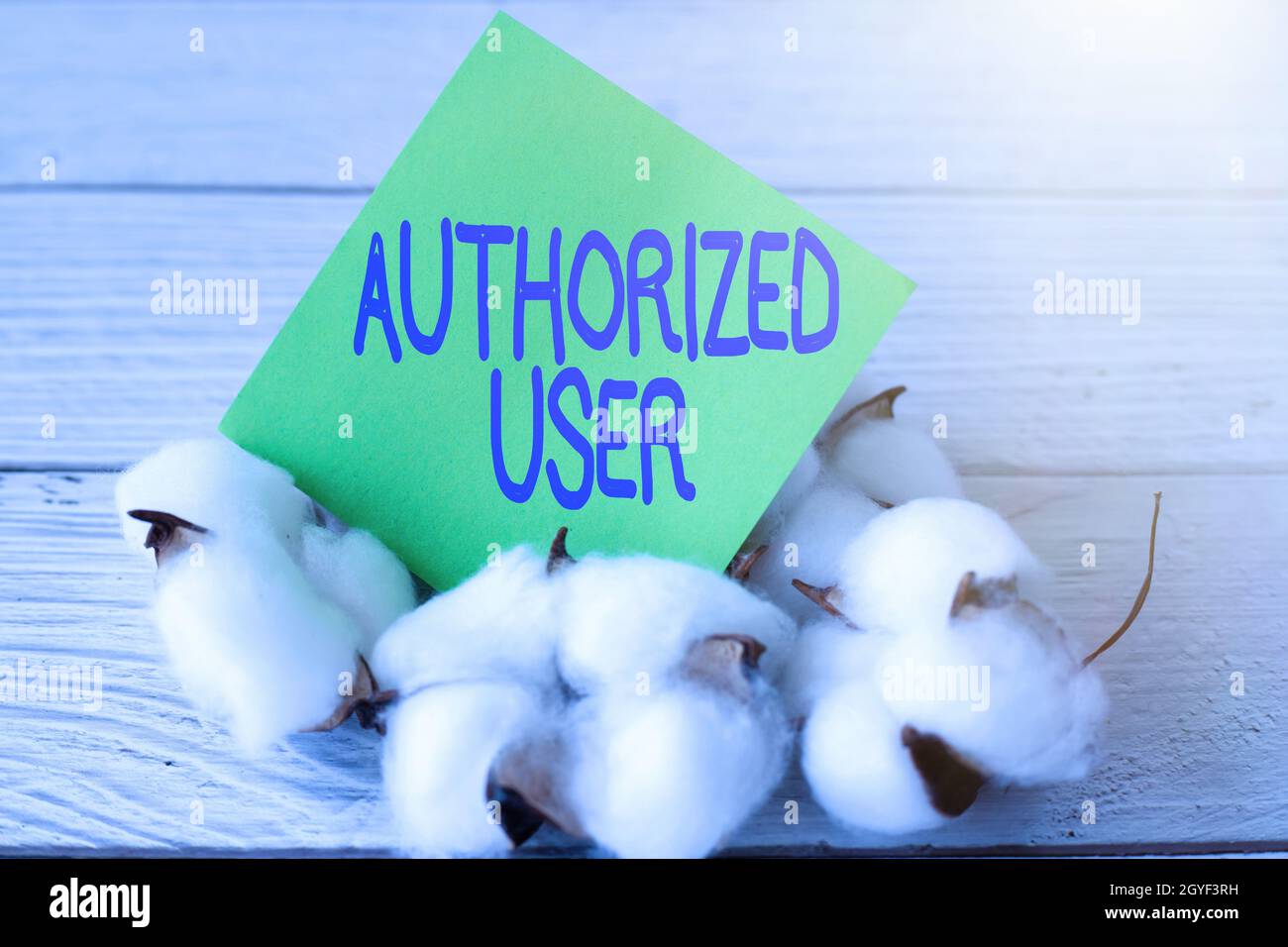 Text caption presenting Authorized User, Internet Concept person ...