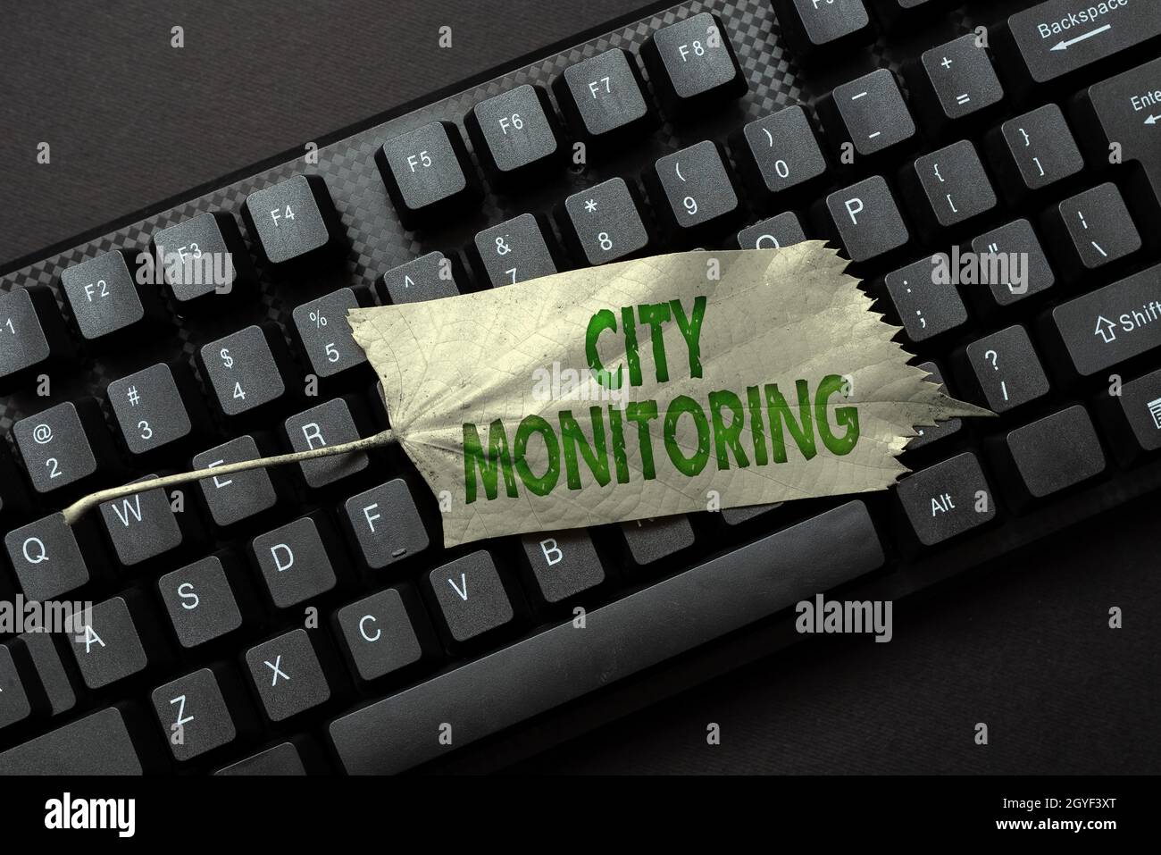 Handwriting text City Monitoring, Word Written on indicatorlevel ...