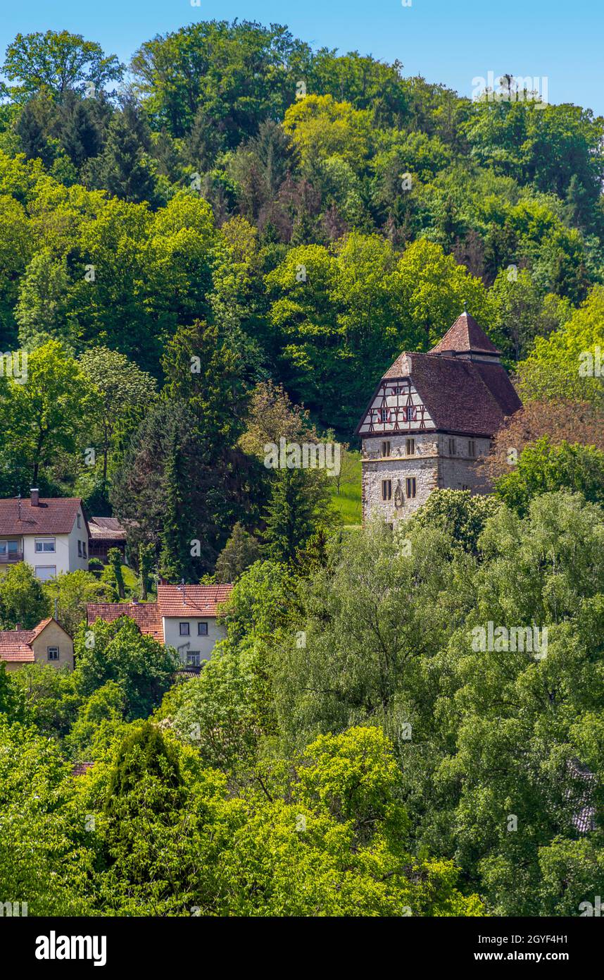 Buchenbach hi-res stock photography and images - Alamy