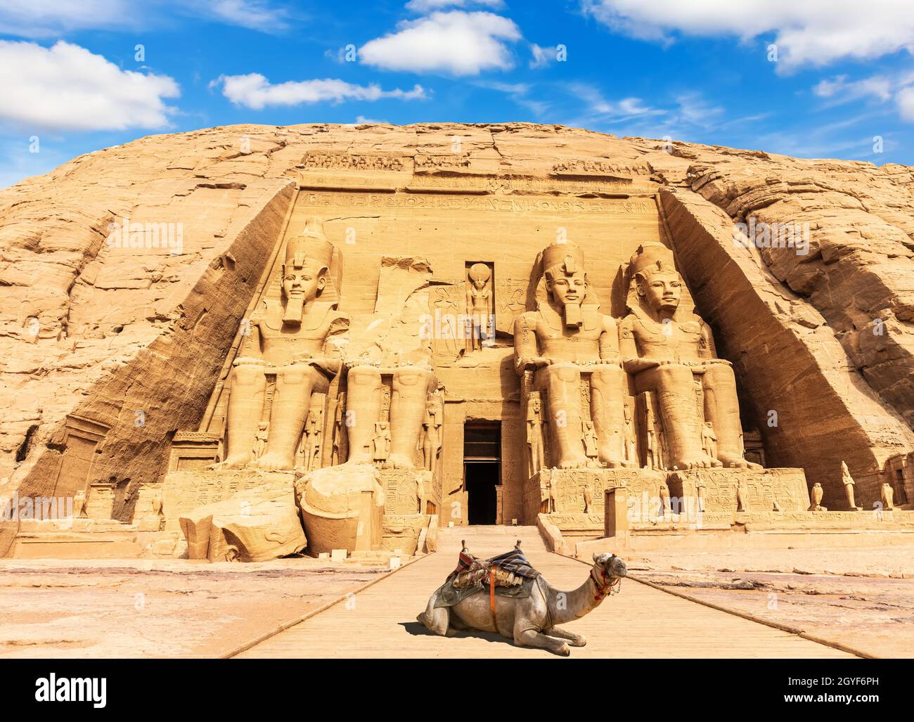 A camel near the Great Temple at Abu Simbel, Egypt Stock Photo - Alamy