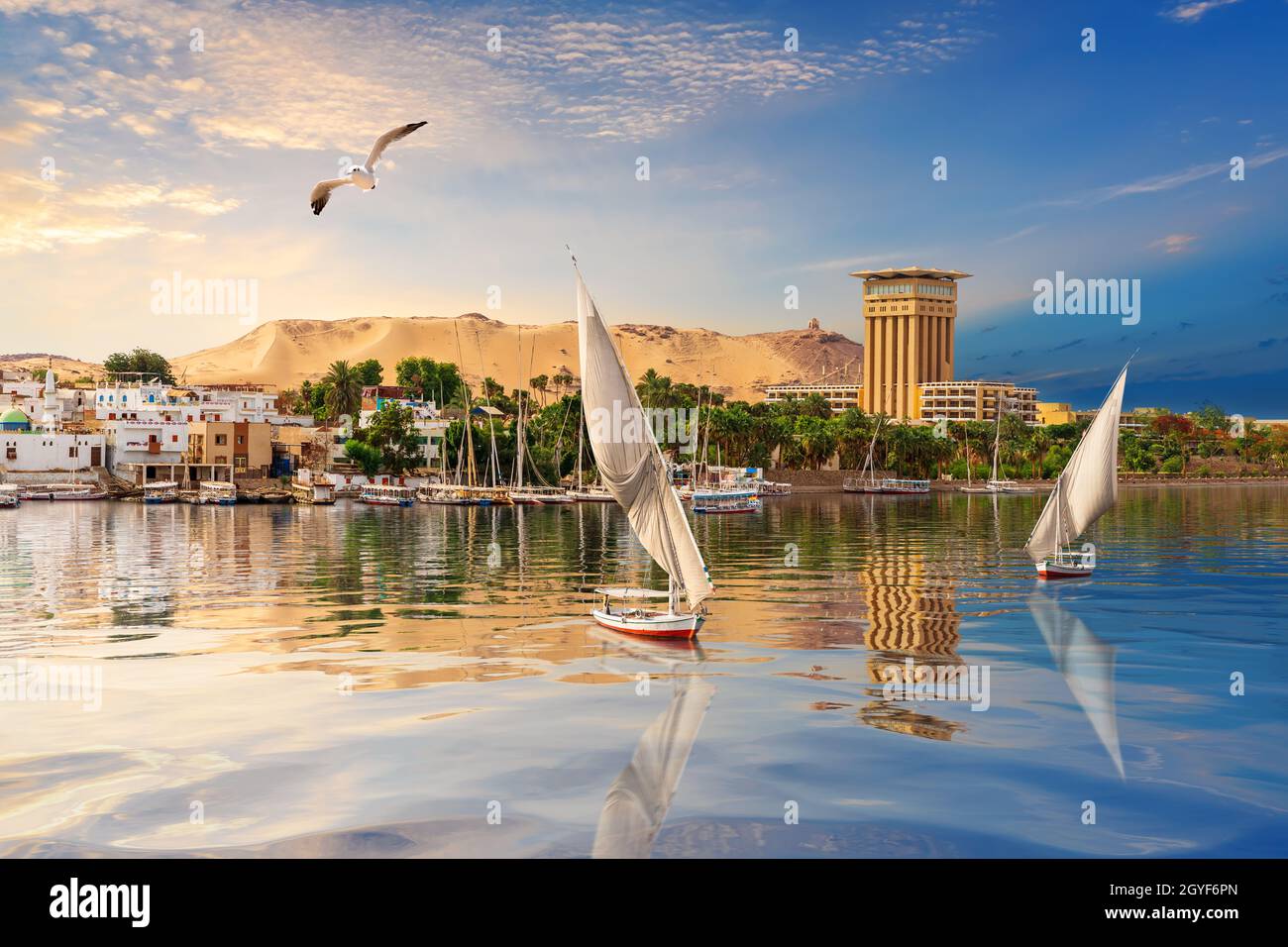 Aswan River Egypt, Aswan Governorate, Aswan, Tourboats Moored On Bank