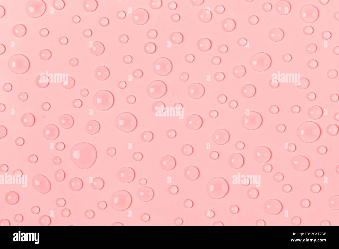 Water drops on a pastel pink background. Water texture close up ...
