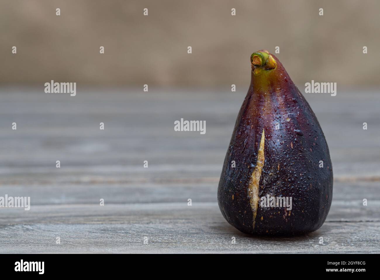 natural brebas collected from a tree Stock Photo - Alamy