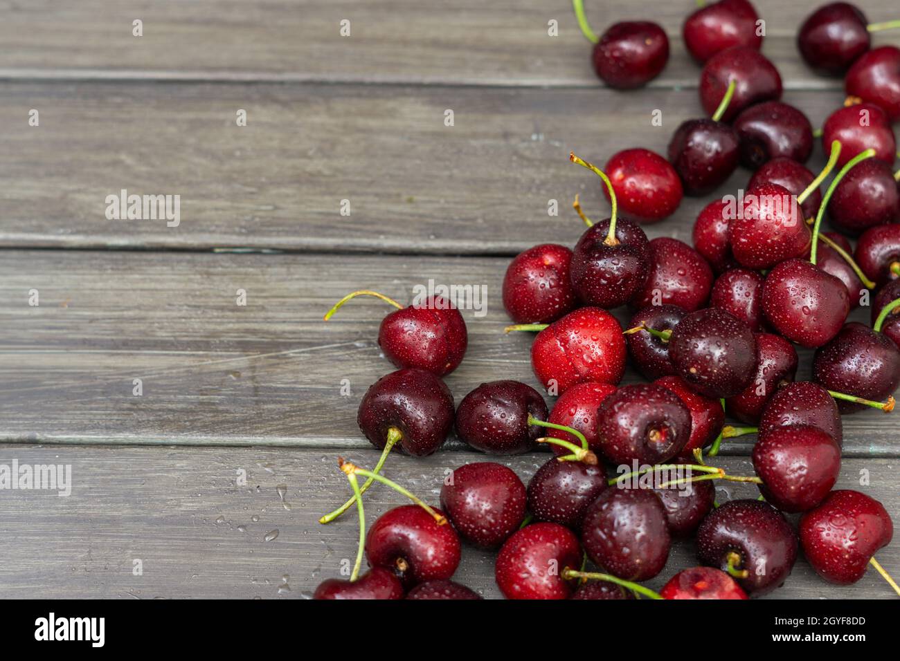 fresh red summer cherries with water drops Stock Photo - Alamy