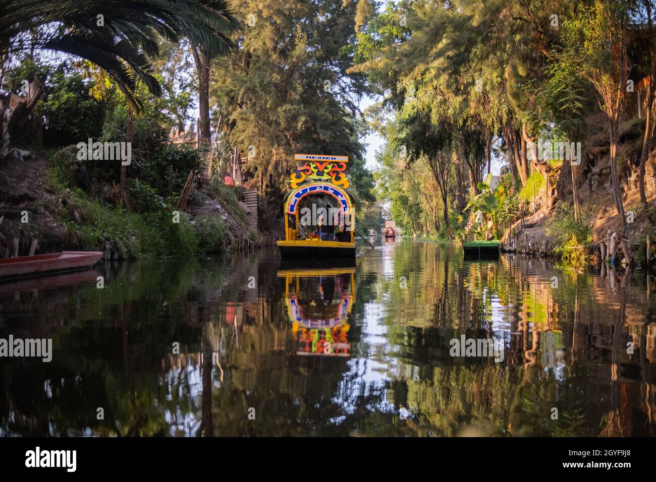 Traditional colorful trajinera surrounded by trees in Xochimilco lake ...