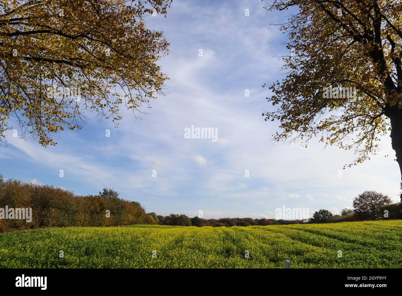 Beautiful clouds in a blue sky over a northern european landscape Stock ...