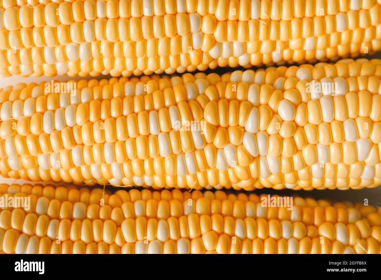 Fresh ripe yellow corn texture, flat lay, top view. Vegan food, cereals ...