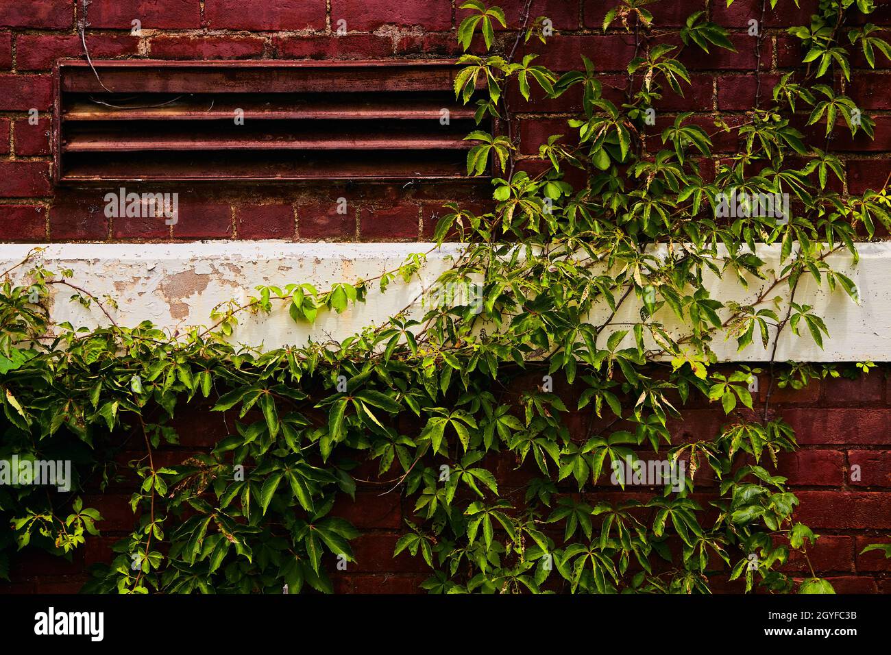 Brick divider hi-res stock photography and images - Alamy
