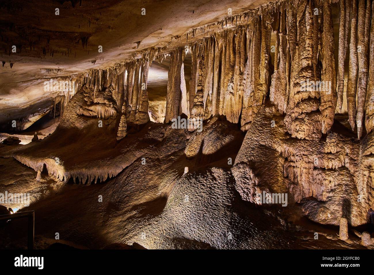 Wall of stalagmites and stalactites in cave with light tan and gold ...