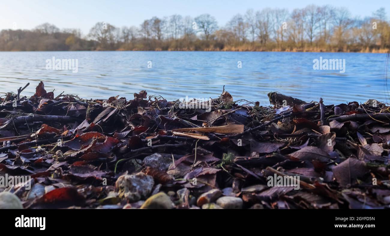Beautiful landscape at a lake with a reflective water surface Stock ...