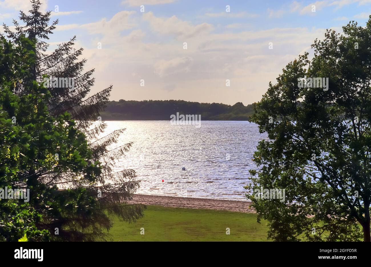Beautiful sunny landscape at a lake with a reflective water surface ...