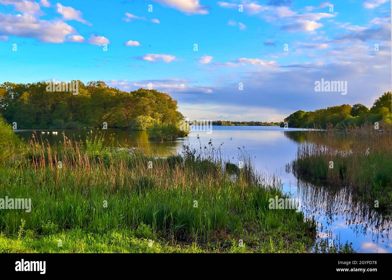 Beautiful sunny landscape at a lake with a reflective water surface ...