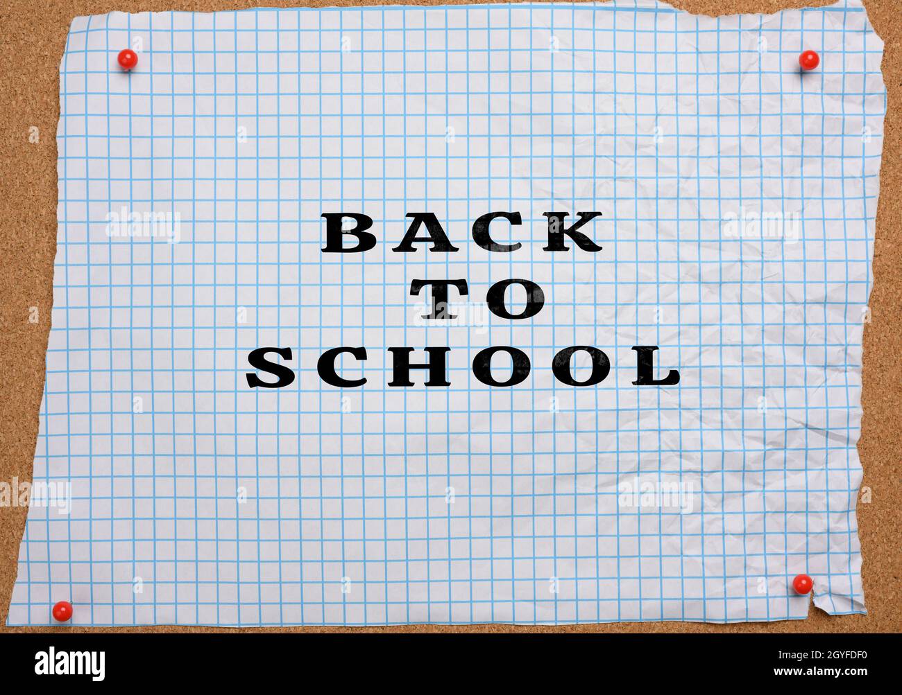 torn crumpled white sheet of paper in a cage pinned to a brown ...