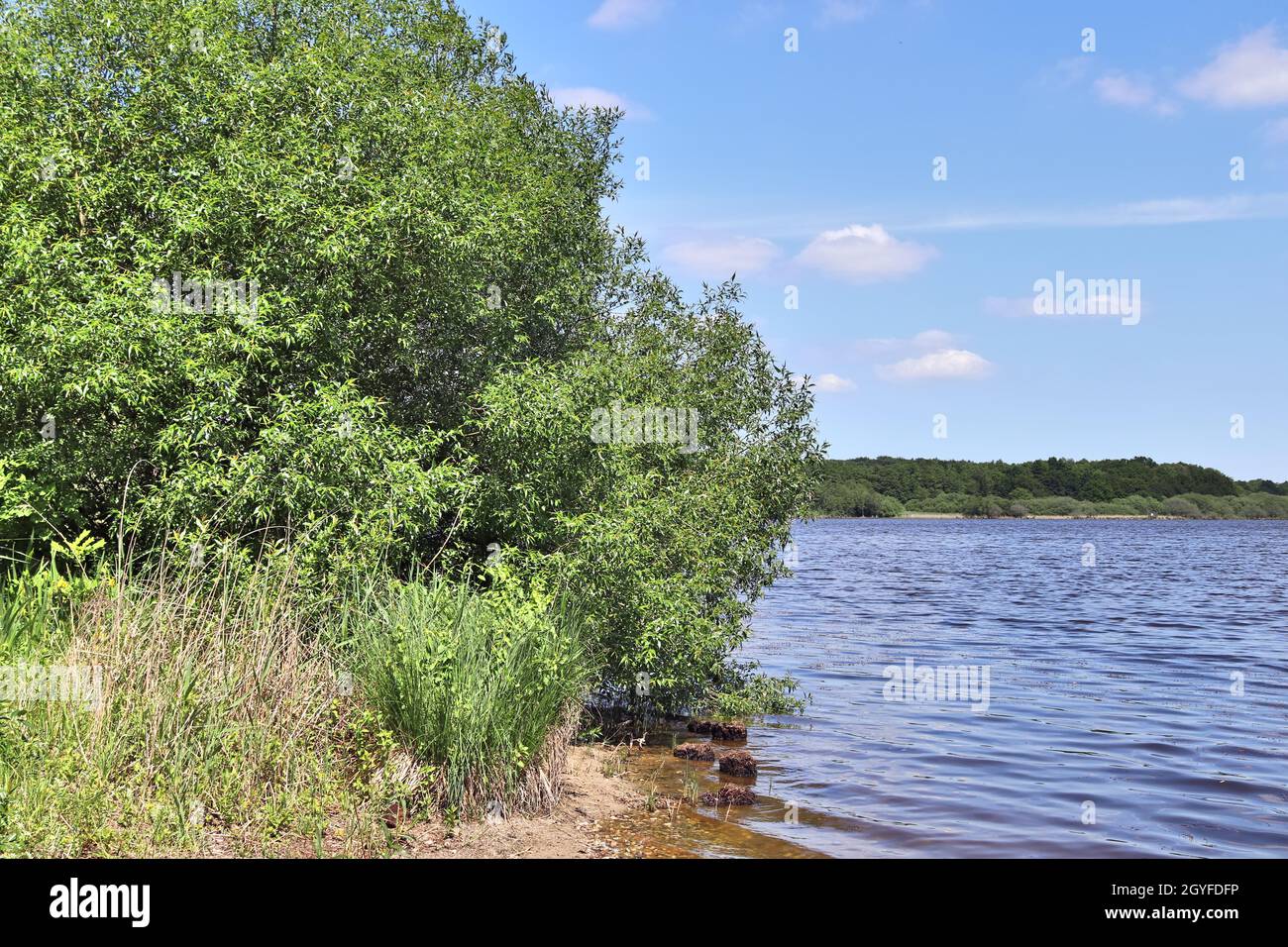 Beautiful landscape at a lake with a reflective water surface Stock ...