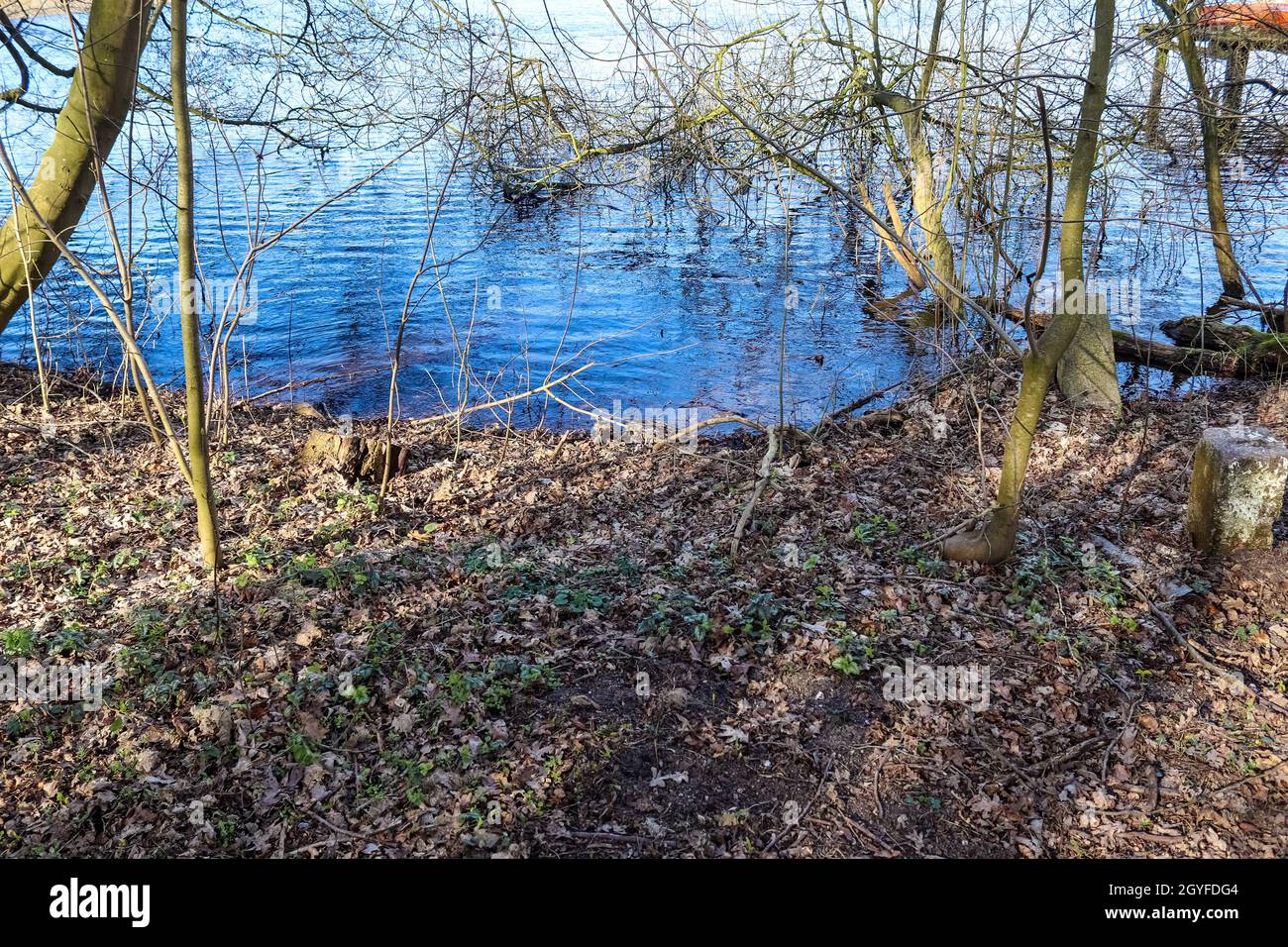 Beautiful landscape at a lake with a reflective water surface Stock ...