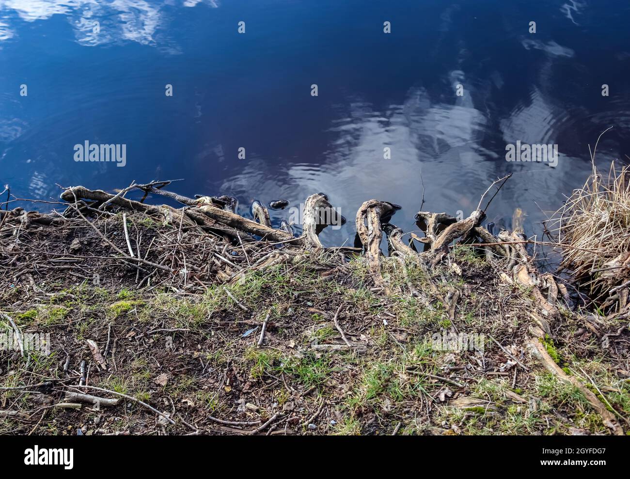 Beautiful landscape at a lake with a reflective water surface Stock ...