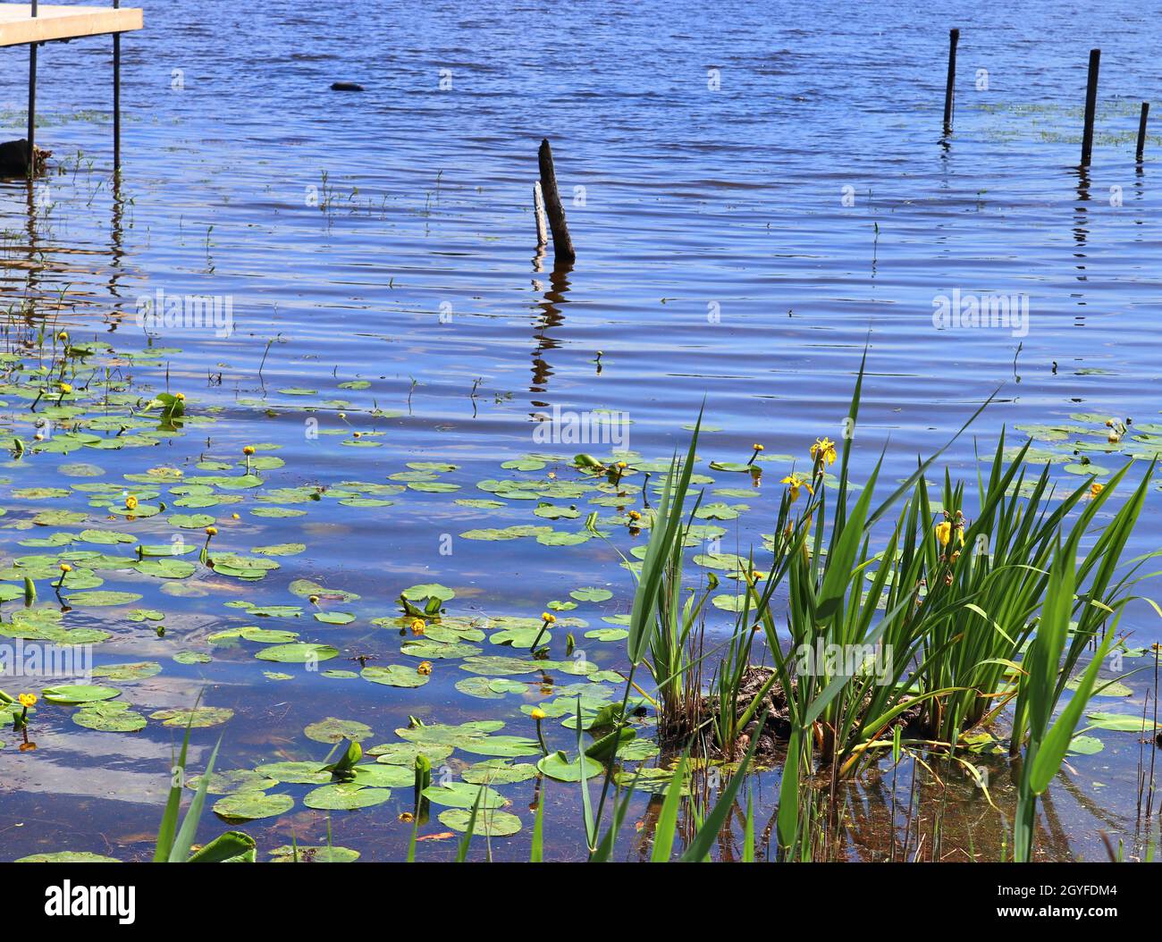 Beautiful landscape at a lake with a reflective water surface Stock ...