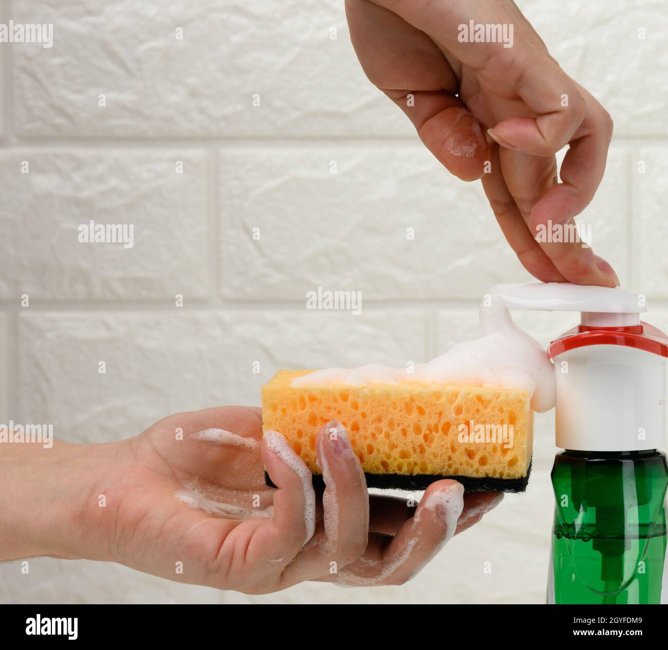 The water squeezes out hi-res stock photography and images - Alamy