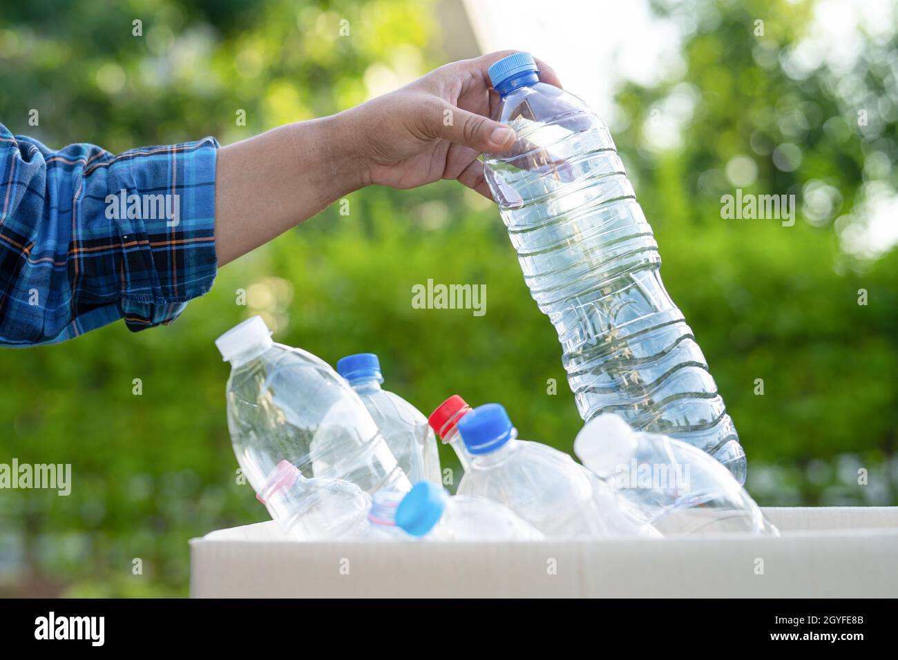 Asian woman volunteer carry water plastic bottles into garbage box ...