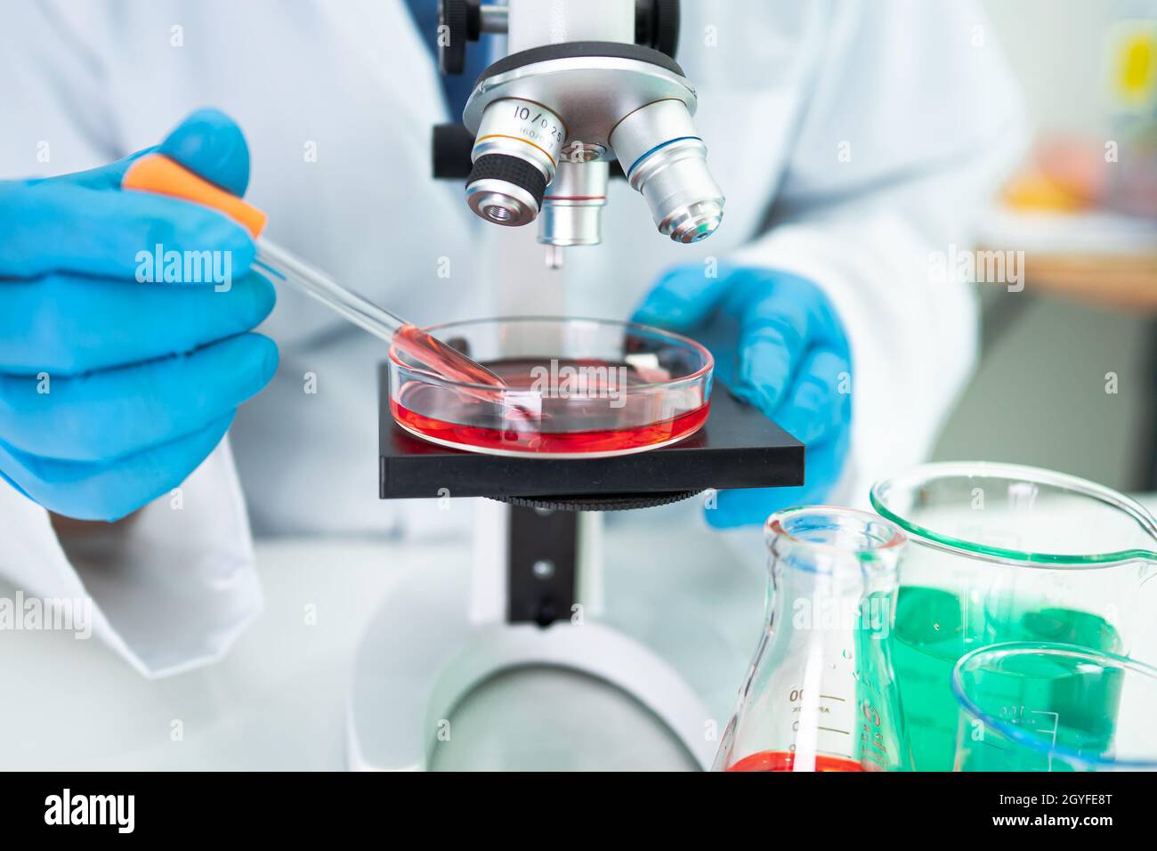 Asian scientist biochemist or microbiologist working research with a ...