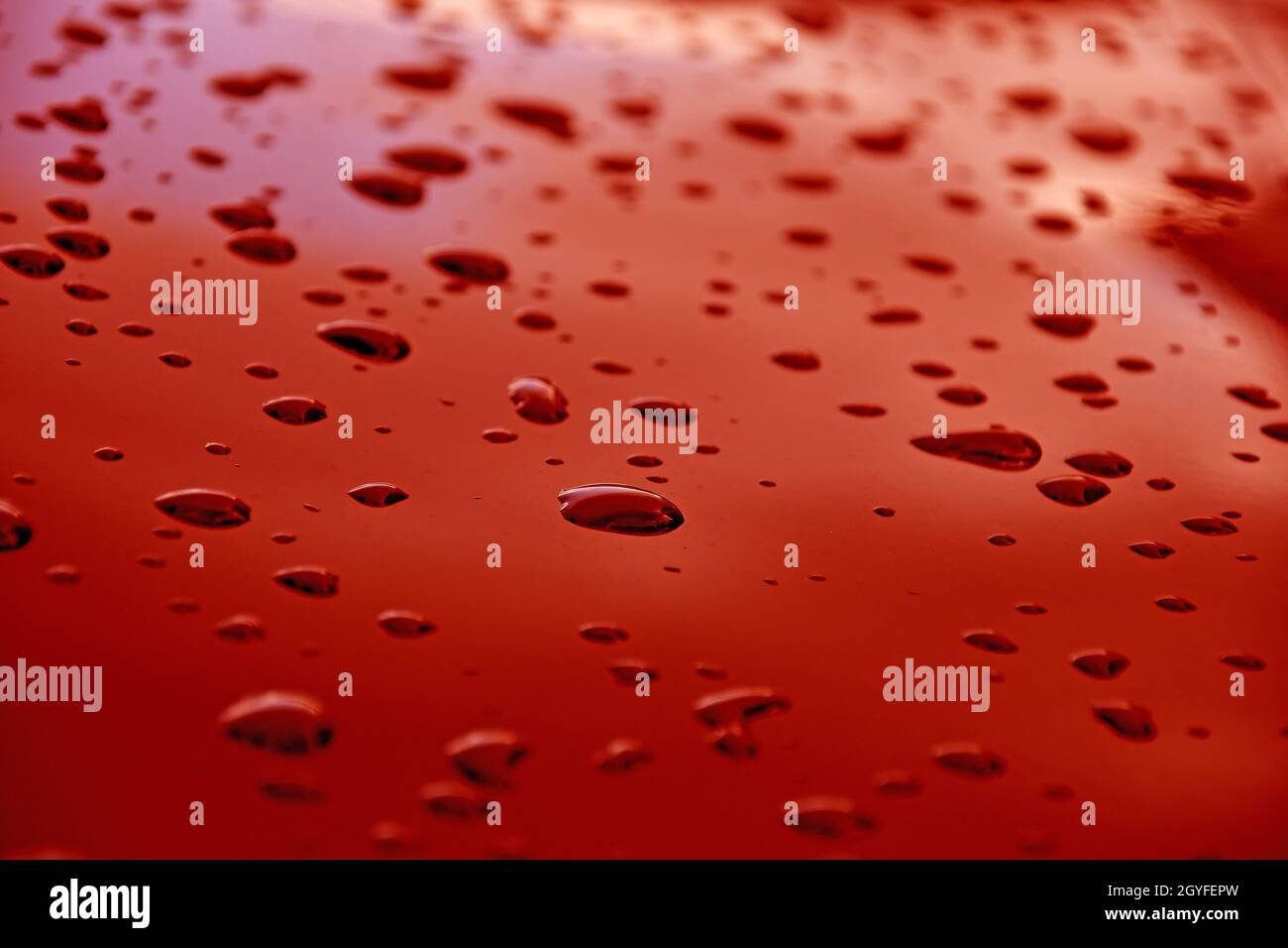rain drops on a car engine hood Stock Photo - Alamy