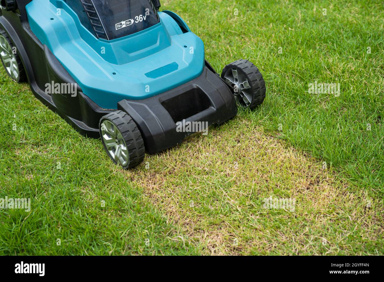 Lawn mover machine cut green grass, Hobby planting home garden Stock ...