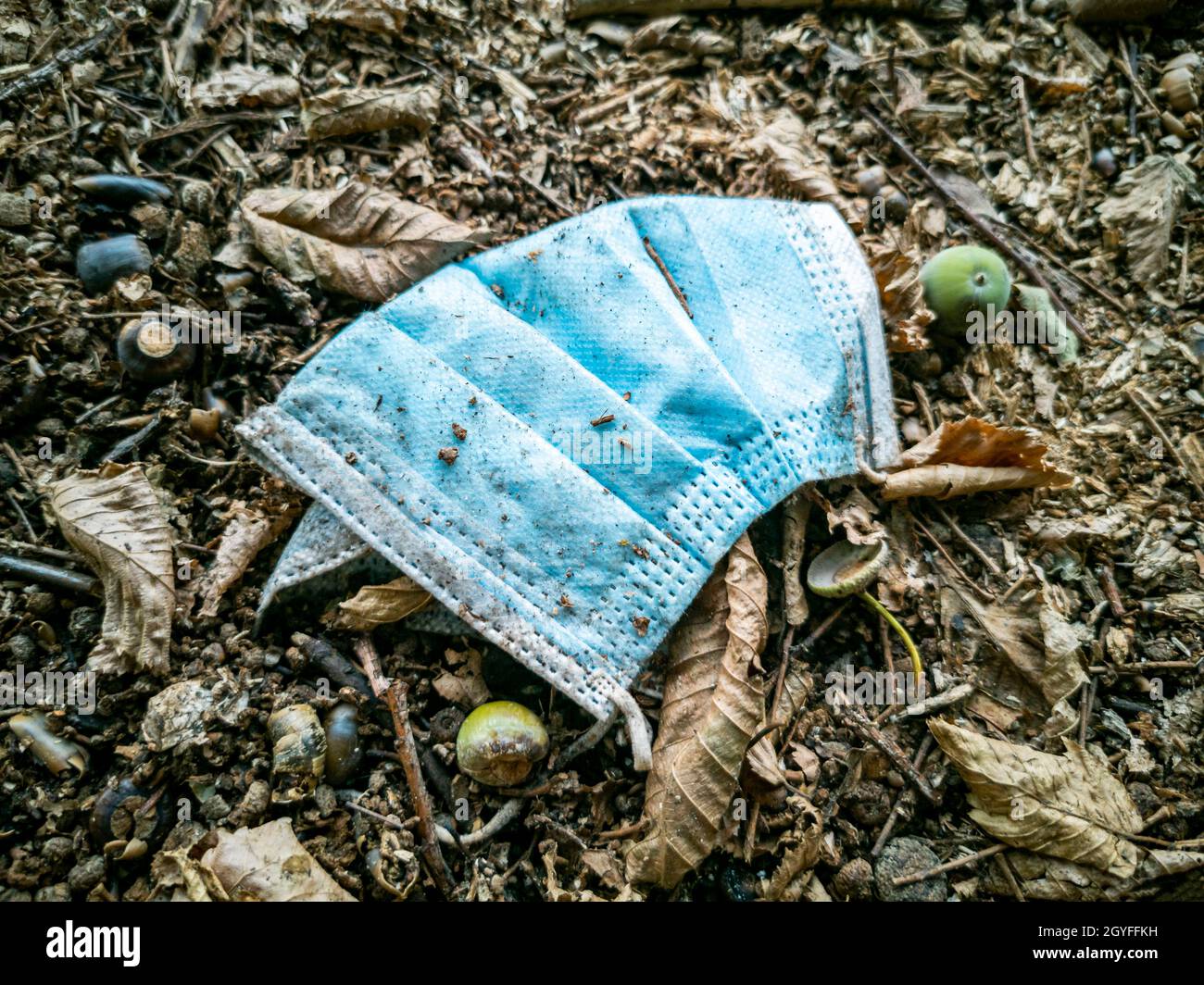 Surgical blue masks in nature. Corona virus pollution. Covid19 Stock ...