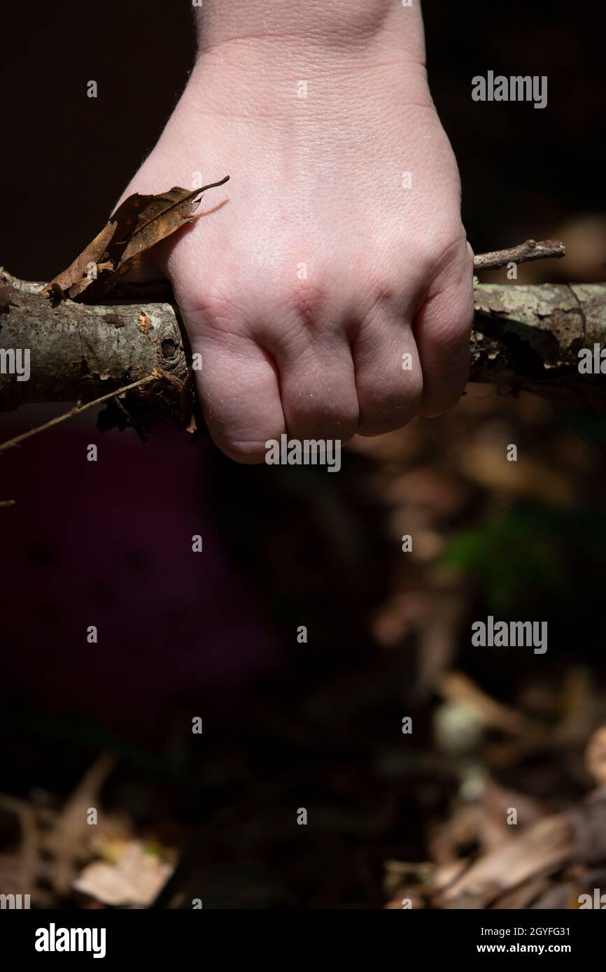 Woman's hand grabbing stick clutter from leaves in a yard Stock Photo ...