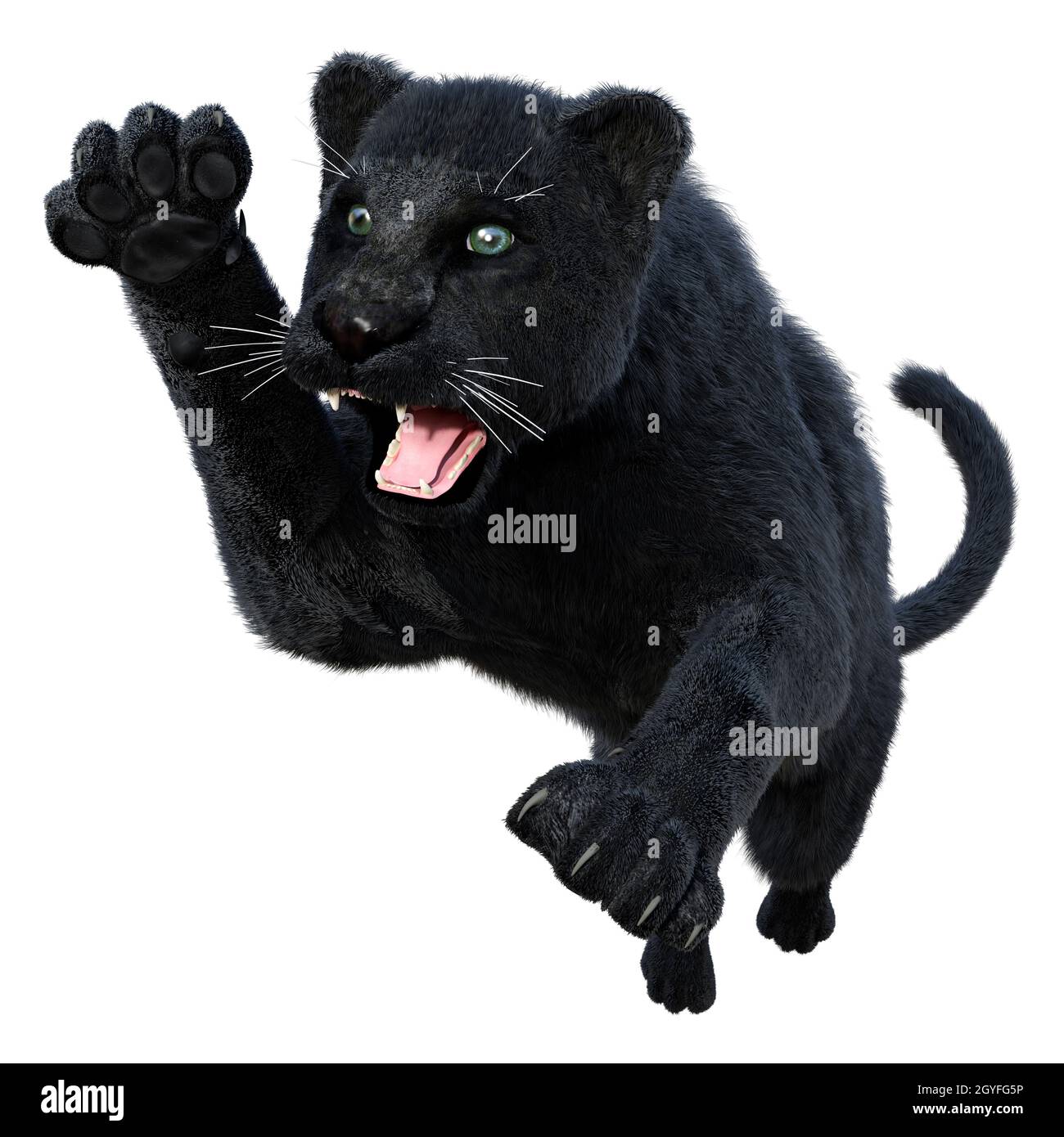 Pantera Atacando Animal Pantera Negra (Trofeo) | Deer Hunter Wikia